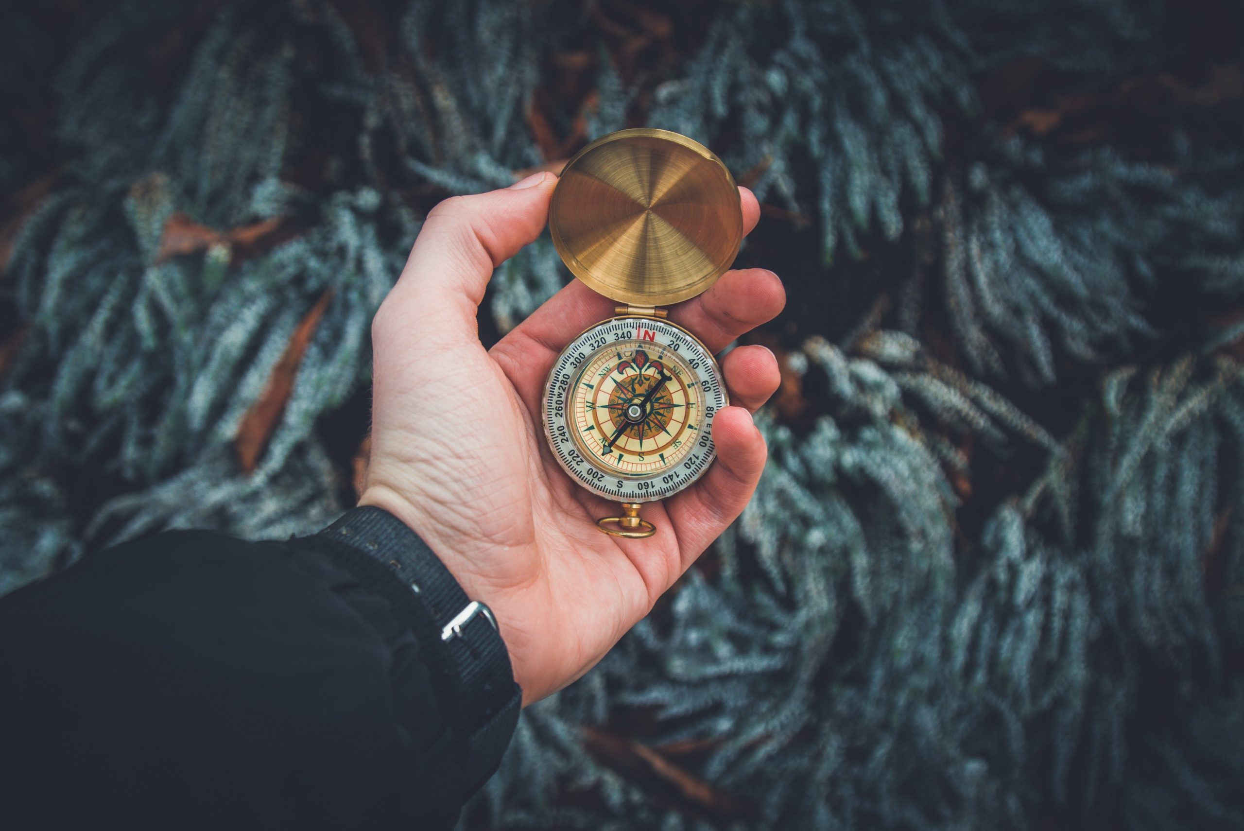 Quels sont les plus grand explorateur du monde ? - Plansurgaia