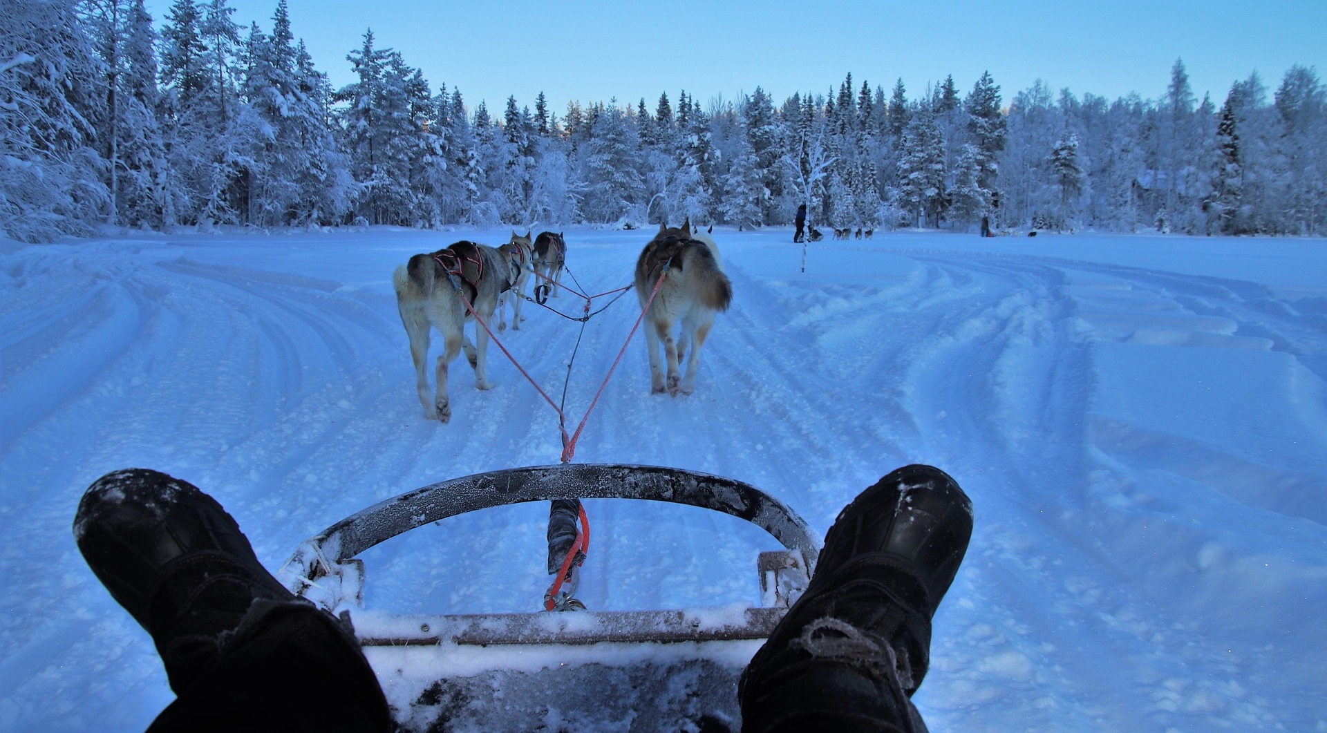Quel est le pays le plus froid du monde ? - Plansurgaia