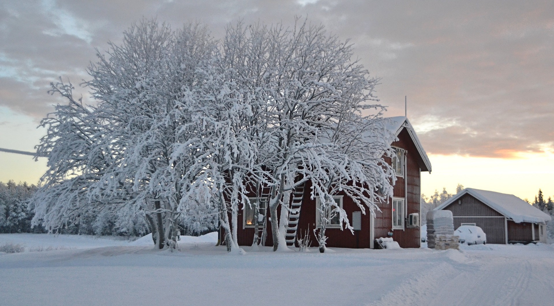 Quel est le pays le plus froid du monde ? - Plansurgaia