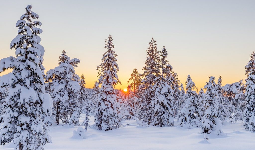 Quel est le pays le plus froid du monde ? - Plansurgaia